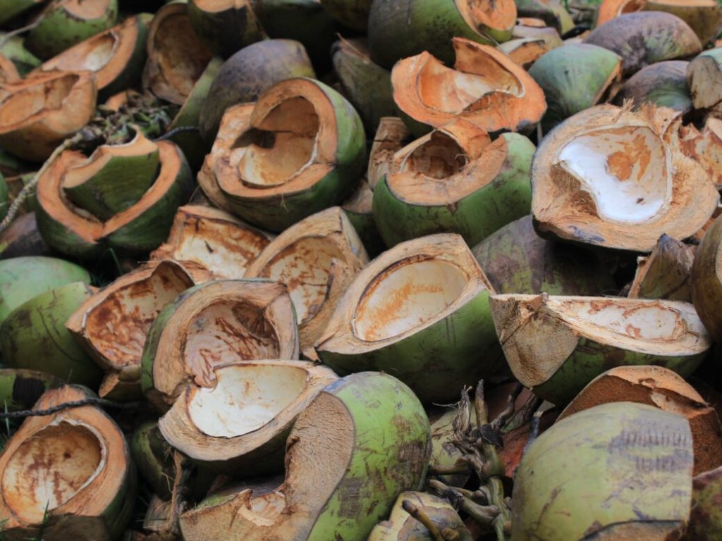 Worldwide First Ever Wearable Fashion Garment Made From Liquid Waste ...